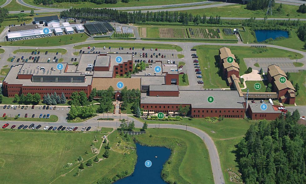 Maritime College of Forest Technology | Campus