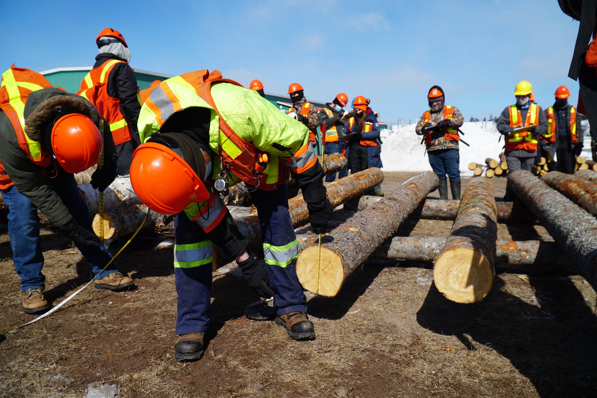 Maritime College of Forest Technology | Home